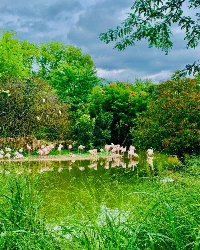 What to Do in Lyon: The 25 Best Things to Do in Lyon France