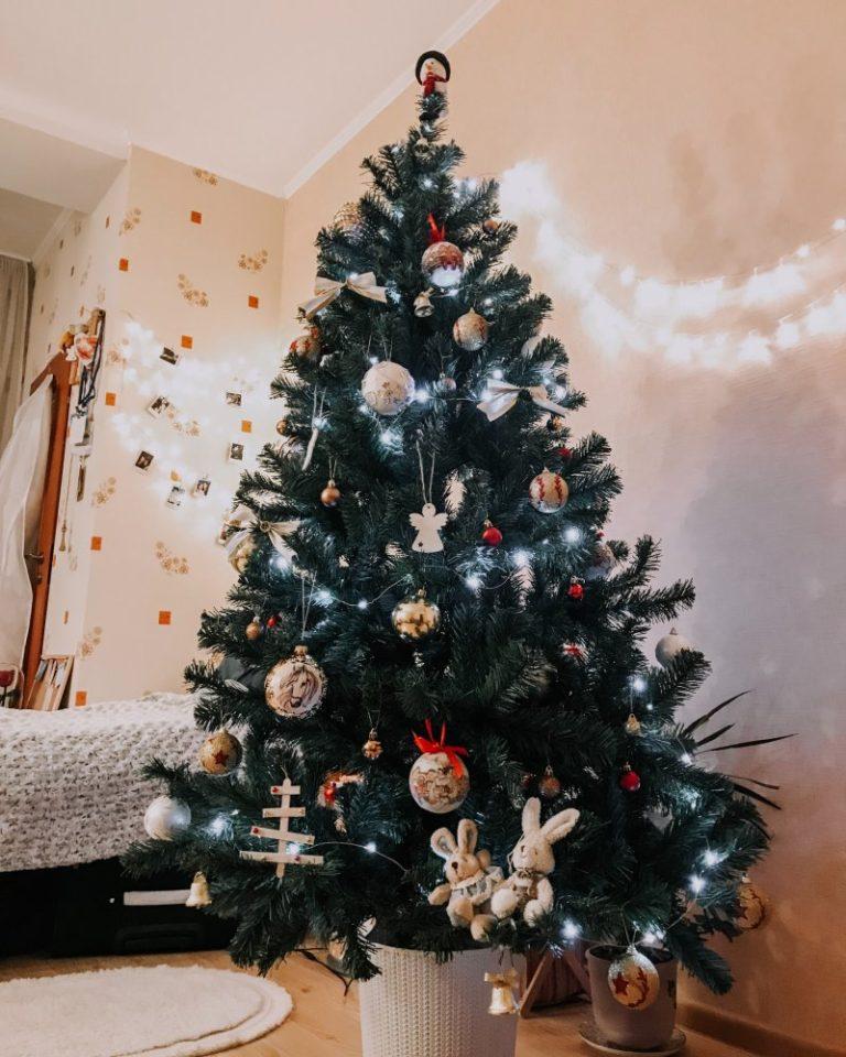 30 French Christmas Traditions (the best Christmas in France facts)