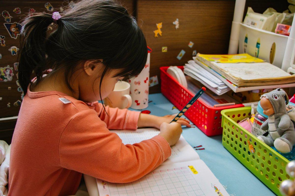 33 Facts About German Schools all About The German Education System 33 Facts About German Schools all About The German Education System