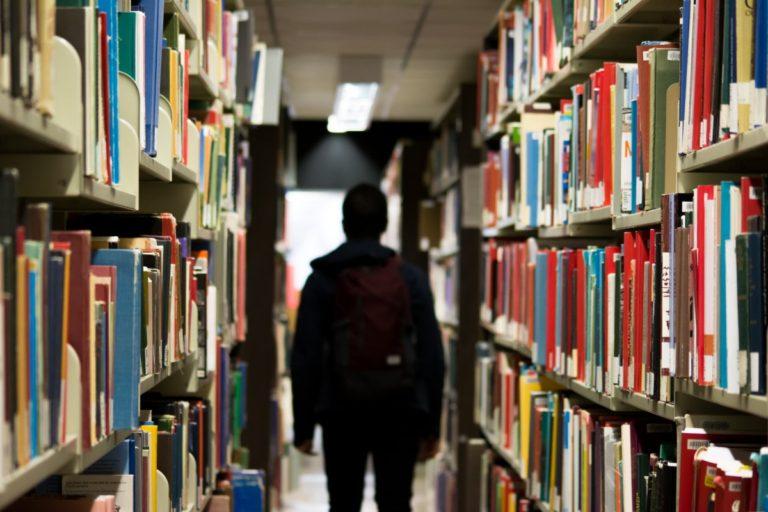 20 Netherlands Education Facts (all about schooling in The Netherlands)