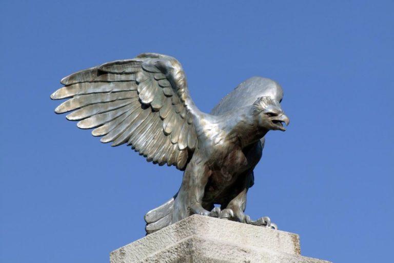 21 Wild Animals in Hungary [Wildlife in Hungary] - Kevmrc