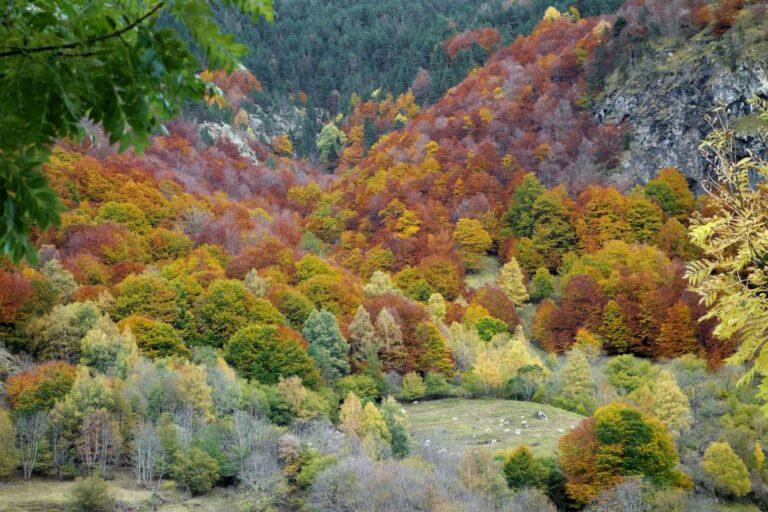12 Best Places to Enjoy Spectacular Fall Foliage in Europe - Kevmrc